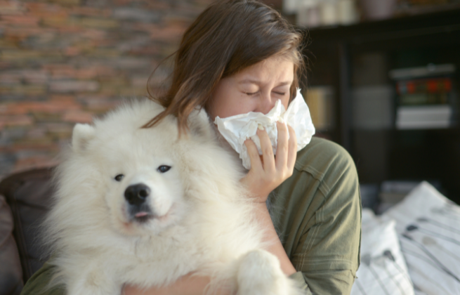Badanie alergii metodą molekularną. Test ALEX - kiedy i gdzie wykonać?
